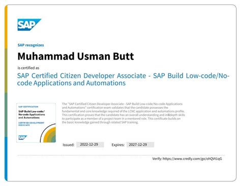 muhammad usman butt on linkedin sap business work projects