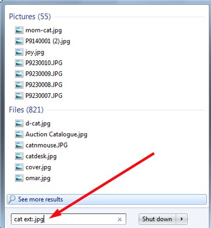 How To Make Advanced Searches In Windows Using Wildcards And Filters
