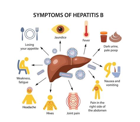 Acute Hbv Treatment Chronic Hbv Symptoms Source Of Hepatitis B