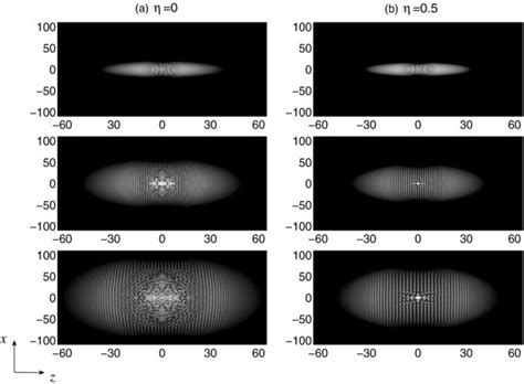 The Time Evolutions Of Density Profiles In Y 0 Plane Of Two