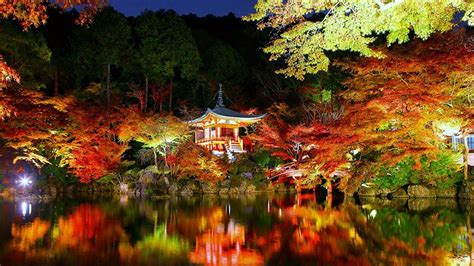 Daigo Ji Temple Kyoto 醍醐寺