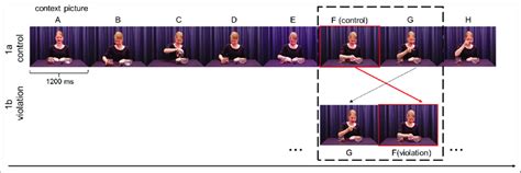 Experimental Design And Action Sequence Structure Panel 1a Example Of Download Scientific