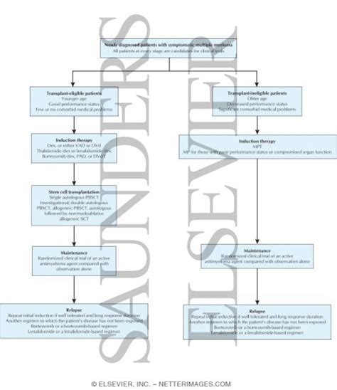 A Current Treatment Algorithm For Multiple Myeloma A Current Treatment Algorithm For Multiple Myeloma