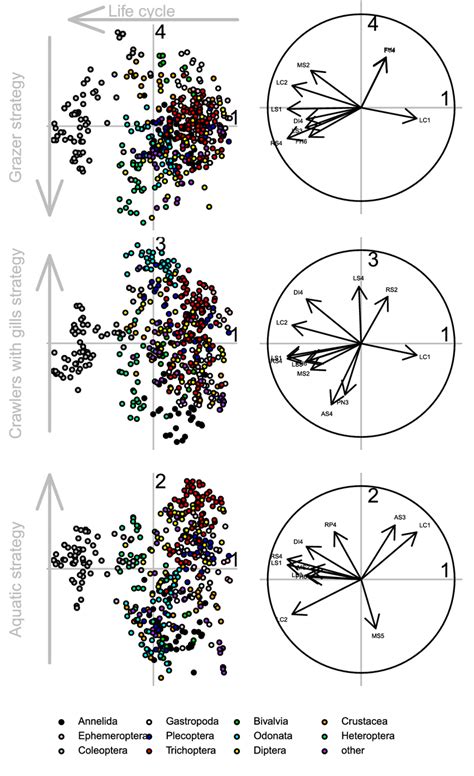 Centred Principal Component Analysis Pca Ordination Of Freshwater