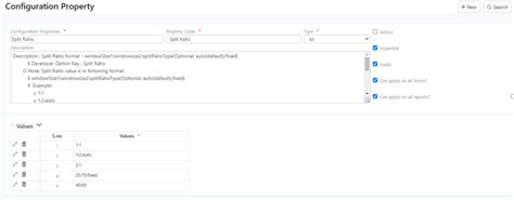 Developer Options Agile Developer