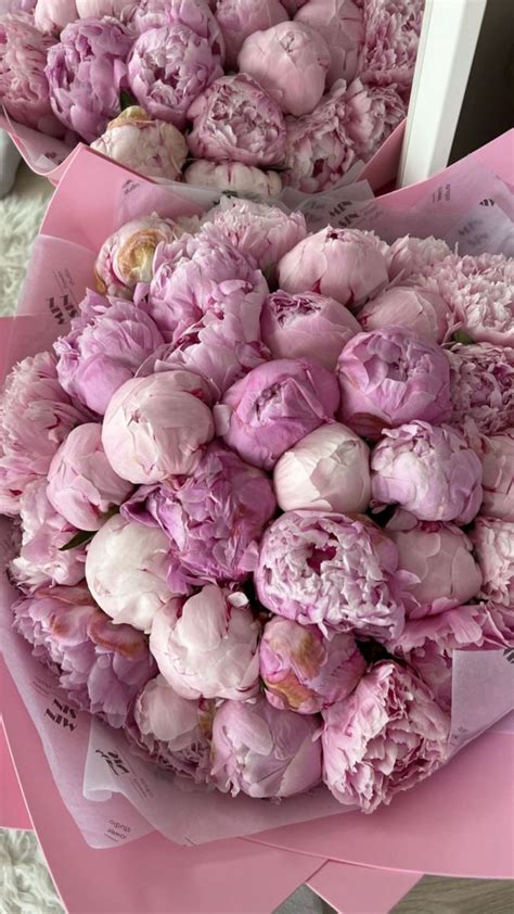 Пин от пользователя бусинка💘 на доске Цветы Цветы Розовые пионы Романтические цветы