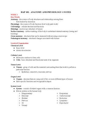 Parts Of The Brain Parts Of The Brain Cerebrum Voluntary Cerebral Cortex Outer Layer Of The