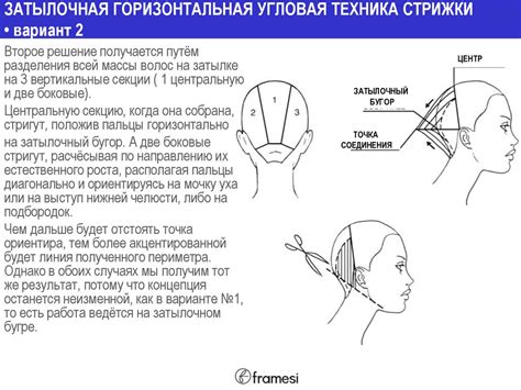 Основные виды и приемы выполнения стрижек волос