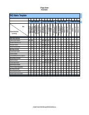 Raci Chart Template Excel Download Xlsx Project Name RACI Matrix RACI Matrix Course Hero