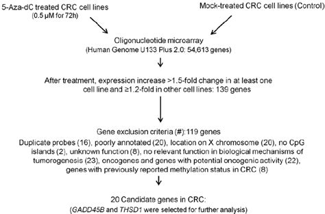 Schematic Outline Of Selection Of Candidate Genes In CRC We Used Five Download Scientific
