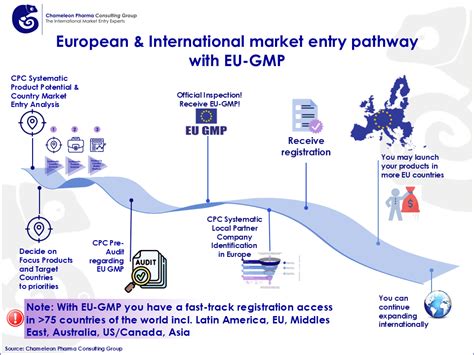 Roadmap To Achieving Eu Gmp Chameleon Pharma Consulting