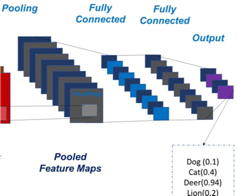 Deep Learning – Introduction to Convolutional Neural Networks | Vinod ...