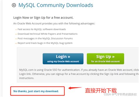 Mysql 8031安装和环境配置 Windowsmysql8031安装及配置超详细教程 Csdn博客