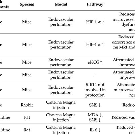 Anesthetics And Adjuvants In Delayed Cerebral Ischemia Dci After Sah Download Scientific