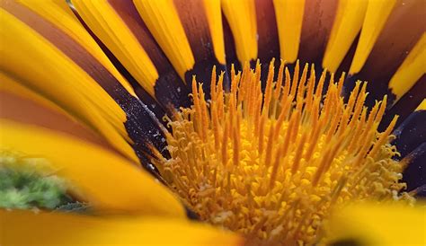 【魅族 17】概述 魅族官网