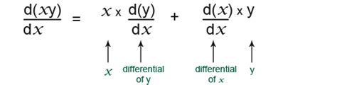 Implicit Differentiation Mathematics