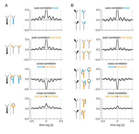 Figure Supplement 1 A Auto And Cross Correlation Of Posterior
