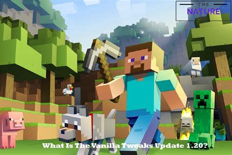 What Are Vanilla Tweaks Update The Nature Hero