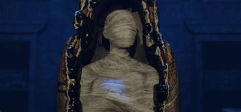 Latex Verse Z Professional Filmographer Deviantart
