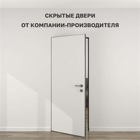 Дверь Invisible купить на OZON по низкой цене