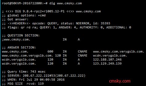 Linux下安装使用dig命令apt Install Dig Csdn博客