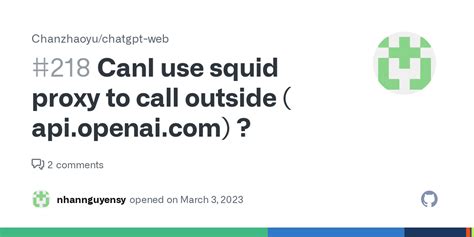 CanI Use Squid Proxy To Call Outside Api Openai Com Issue Chanzhaoyu Chatgpt Web