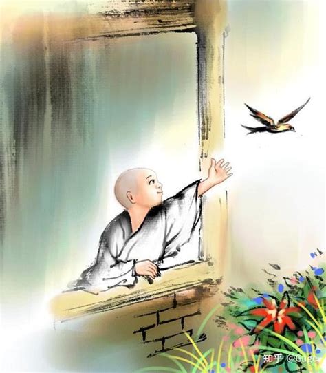 放生 你误解了吗？ 知乎