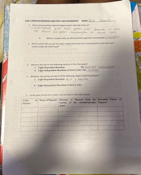 Solved Lab 5 Photosynthesis Lab Post Lab Assignment Name