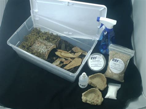 All You Need Pet Cockroach Habitat Kit