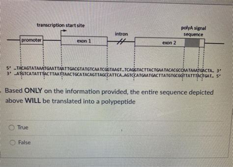 Solved Transcription Start Site Polya Signal Sequence