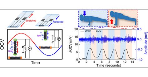 Surface Electromyography