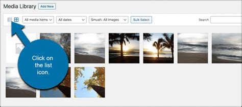 How To Rename Images In WordPress After Uploading Them GreenGeeks