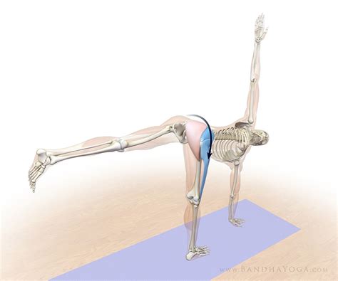 Revolved Half Moon Pose 3 Steps To Lift And Stabilize The Pelvis Artofit