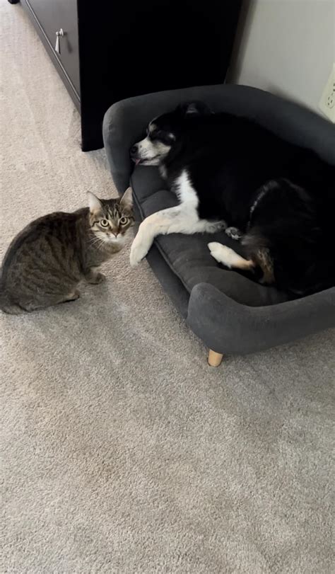 Mother Why He Sleep When Time To Play Cubby And Friends