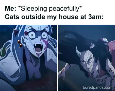 25 Demon Slayer” Memes That Are Funnier Than