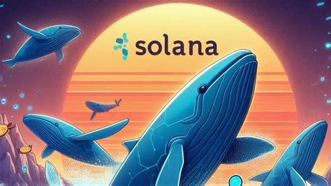 Solana Faces Potential Price Decline as Whales Move Tokens: What ...