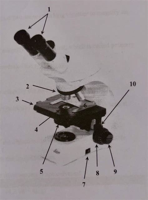 Microscope Diagram Quizlet