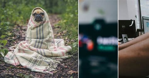 List Github Curated By Scott C Technologist Medium