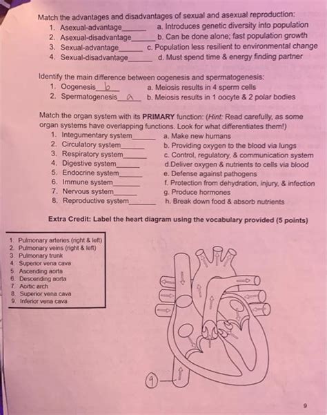 Solved Match The Advantages And Disadvantages Of Sexual And Chegg Com