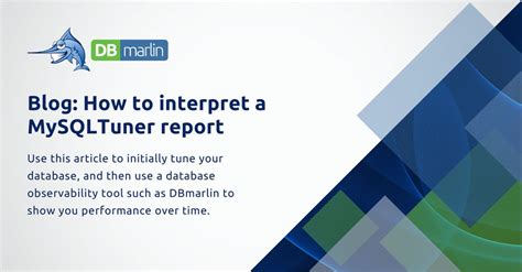 How To Interpret A Mysqltuner Report Application Performance Ltd