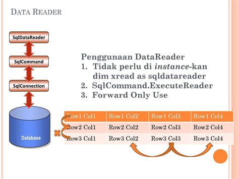 Connection And Datareader Ppt Download
