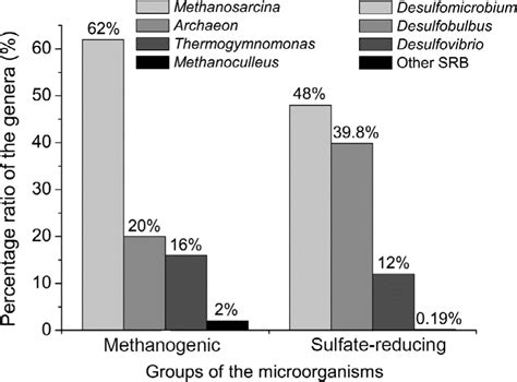 Methanogenic Bacteria