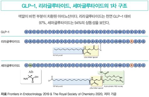 비만 치료제 열풍에 품절대란 위고비 그 배경은 한국경제