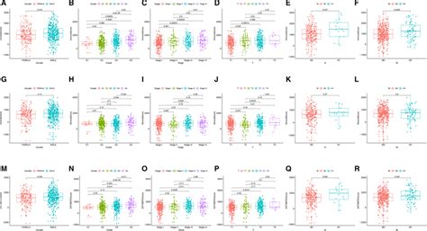 Correlation Between Scores And Clinicopathological Characteristics Of