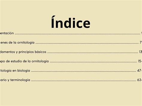 Ejemplos De Autonomía En La Vida Diaria ¡descubre Tu Independencia