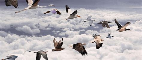 什么是数据库的概念模式 待注销 segmentfault 思否