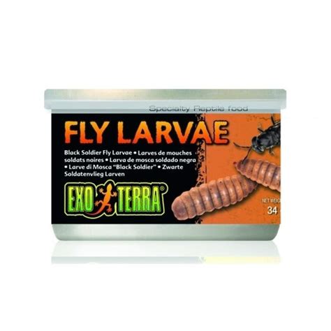 Fly Larvae 34 Gram Black Soldier Fly Larvae For Reptiles By Exo Terra