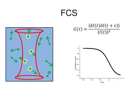Ppt Raster Image Correlation Spectroscopy Powerpoint Presentation