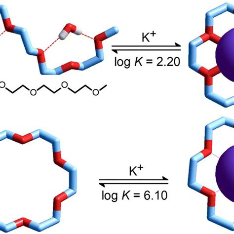 The Macrocyclic Effect In Polyether Complexes Of Alkali Metal Ions A