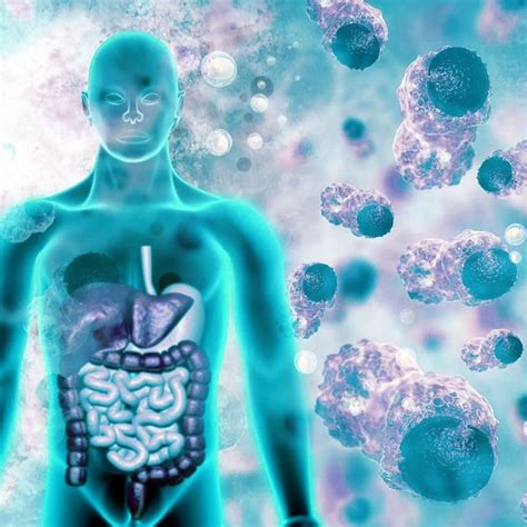 Toxin Overload Chiropractic Scientist